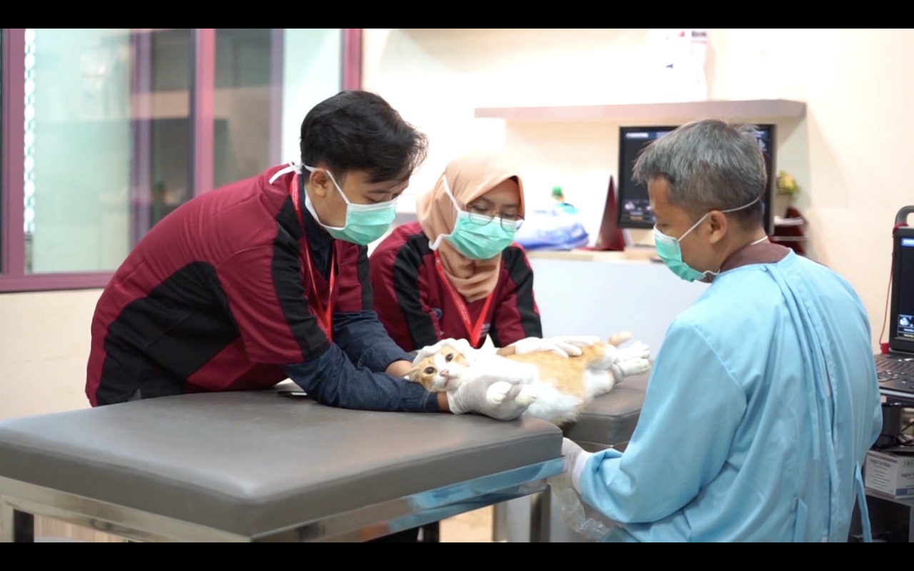 Ini Sebab Fakultas Kedokteran Hewan IPB University menjadi yang Terbaik ...