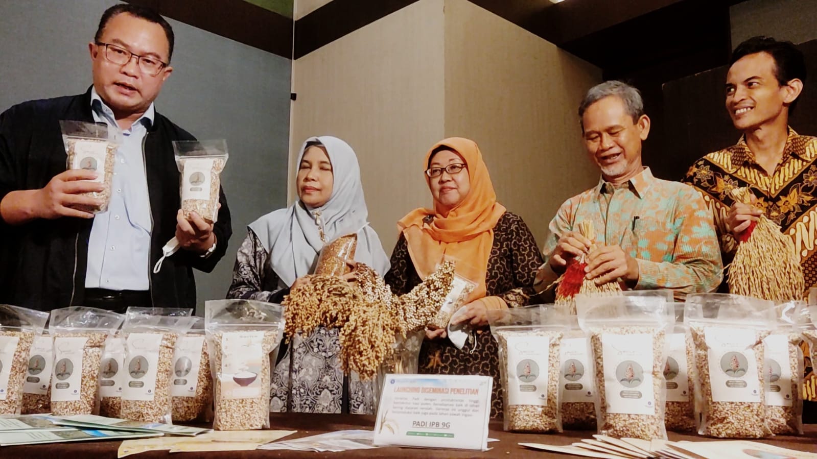 Peneliti Ciptakan Inovasi IPB 9G, Padi Unggul Bersifat Amfibi , Berita ...