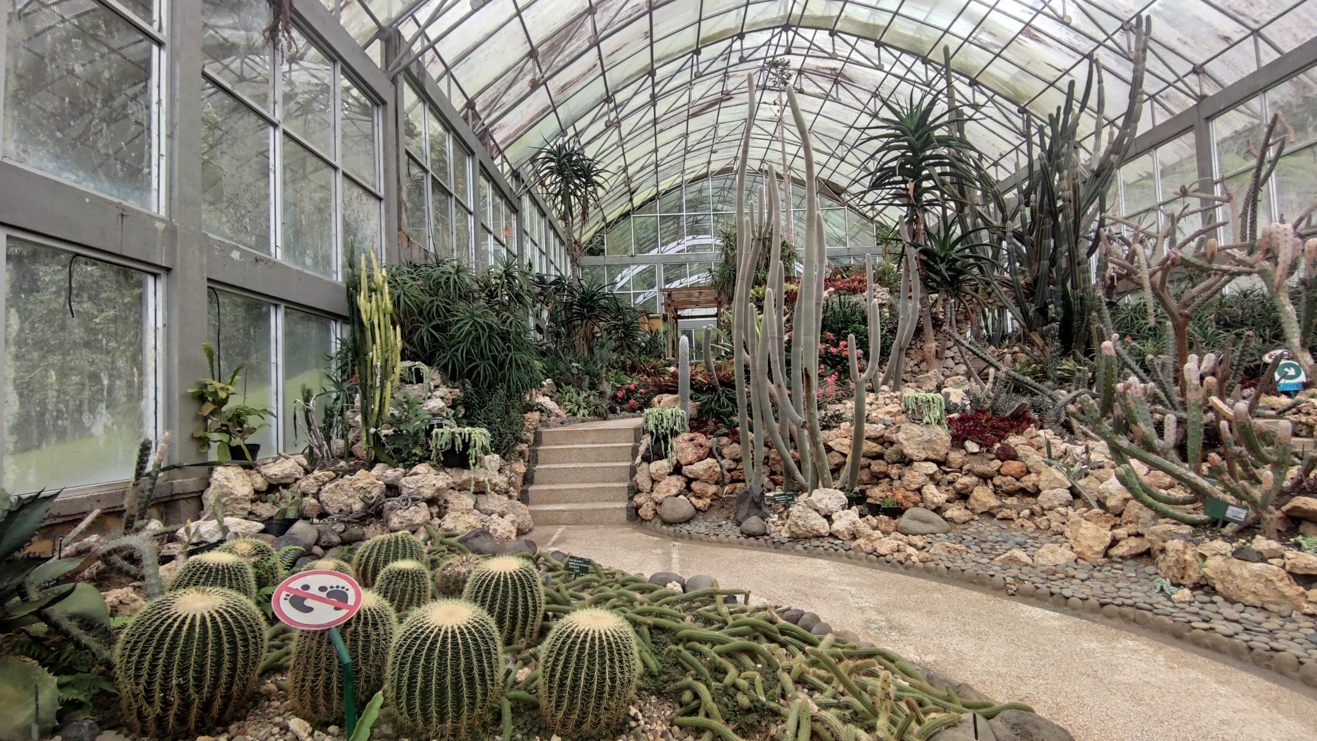 Dibukanya Taman Tematik Kebun Raya Bali Setelah 2 Tahun Masa Pandemi ...